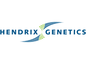 Home - Hypor API - developer portal